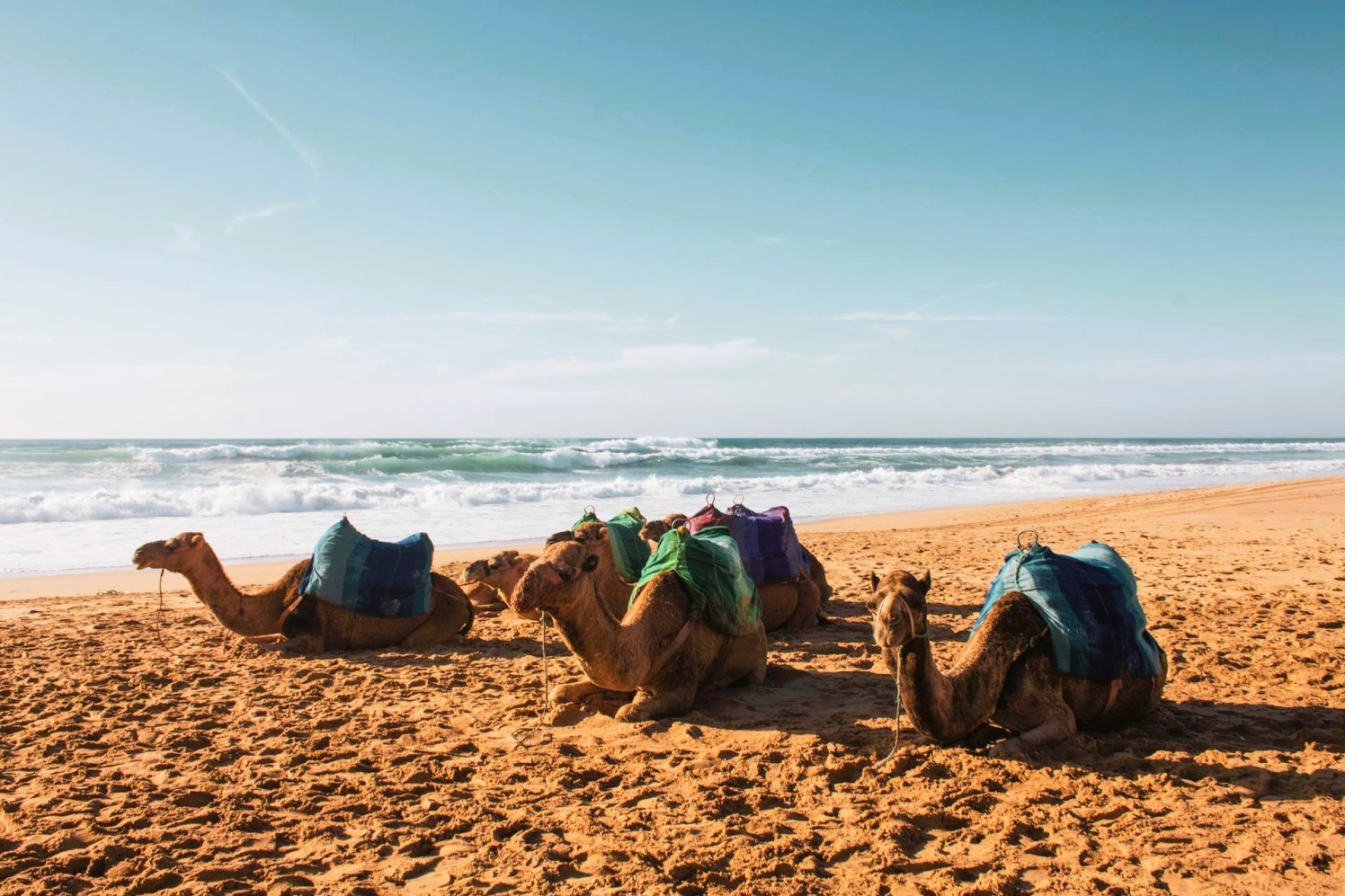 Morocco impressions – eccentric Marrakech & distant Tangier – Reid & Robie